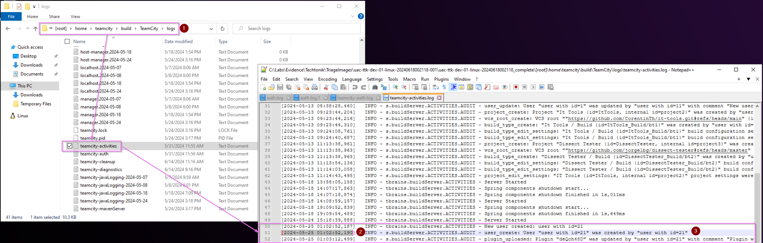The Bear Necessities | Spellzed