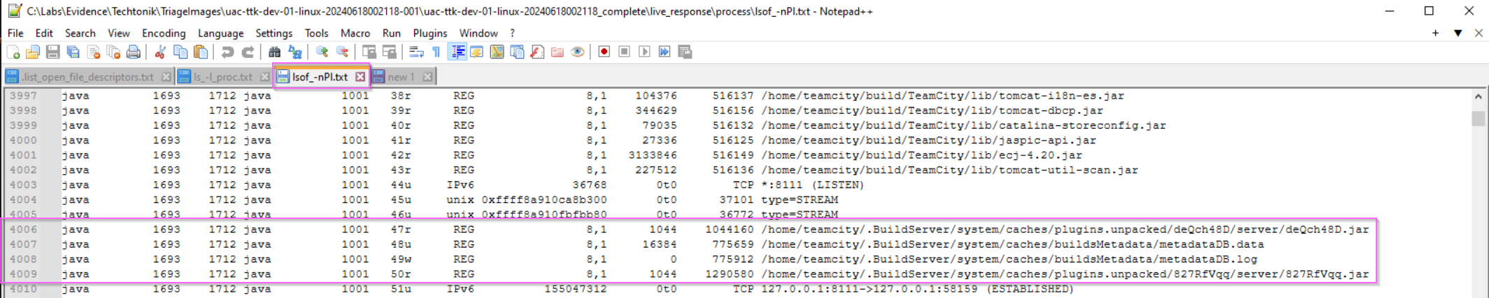 The Bear Necessities | Spellzed